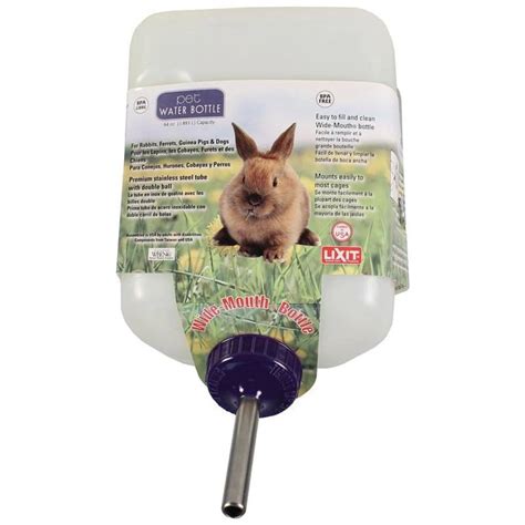 Bottle Feeding A Rabbit