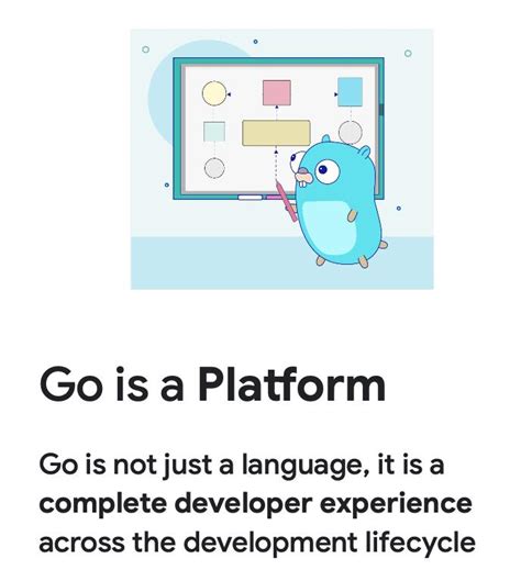 Eduard Moldovan 👨🏻‍💻 On Linkedin My Name Is Elton Minetto