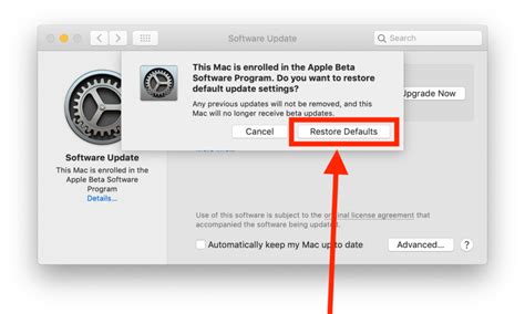 How To Opt Out Of Macos Big Sur Catalina Beta Updates
