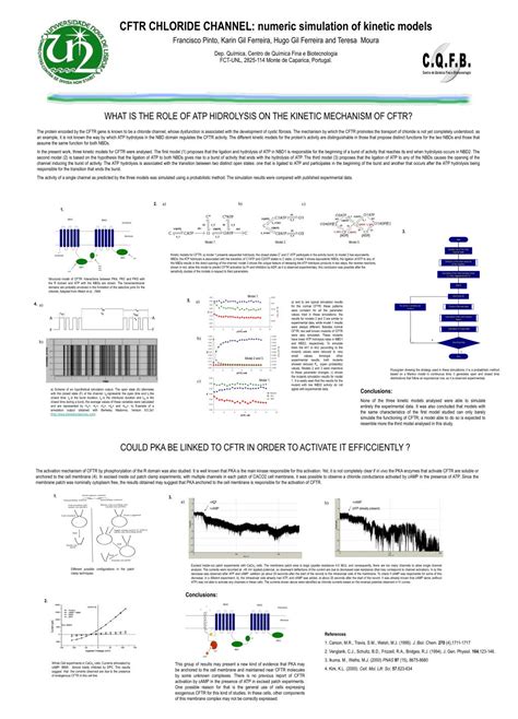 PPT Different Possible Configurations In The Patch Clamp Techniques PowerPoint Presentation