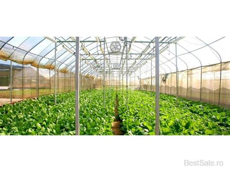 Programez Arduino Programator Raspberry Pi Softuri Programe Anunturi