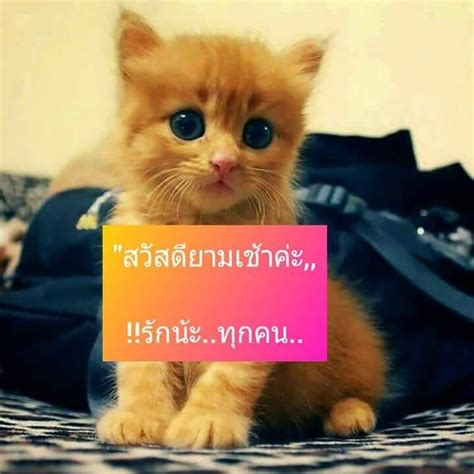 ปักพินโดย Ramchai Chuenbumrung ใน สวัสดีวันพฤหัส รูปภาพ อรุณสวัสดิ์