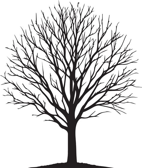 Naked Tree Vector Silhouette Black Color Vector Art At Vecteezy