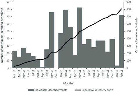 The Number Of New T Aduncus Individuals Identified From Photographs Download Scientific