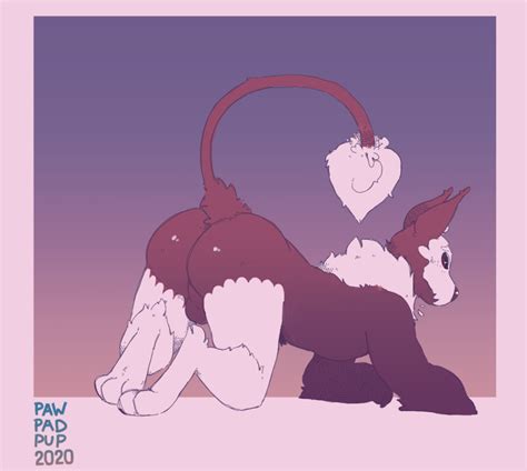 Rule 34 2020 3 Toes Anthro Ass Backsack Balls Black Body Black Fur