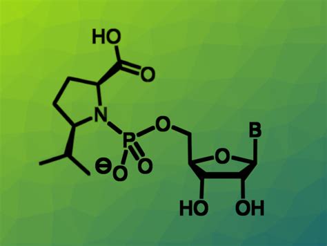 Nucleotides Structure Mcat