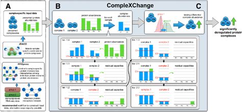 Workflow Example For CompleXChange A Suitable Input Data Can Be Download Scientific Diagram
