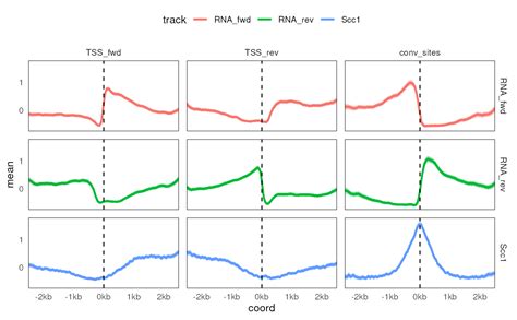 Plotting Functions — Ggplot Tidycoverage • Tidycoverage
