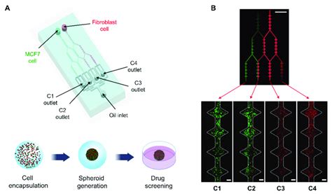 Experiment Setup Of Microfluidic Gradient Droplet Device For Download Scientific Diagram