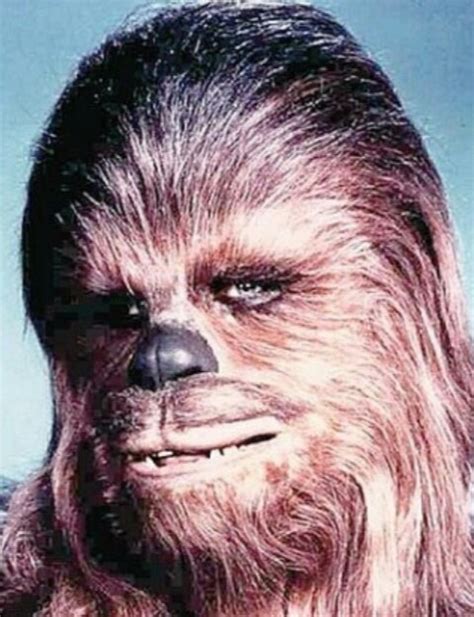 Create Meme Chewie The Wookiee Surprised Chewbacca Guf Pictures Meme Arsenal Com