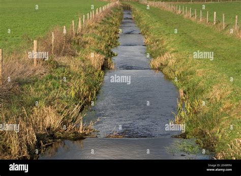 Fish Ladder Also Known As Fish Pass Or Pool Pass In A Small River To