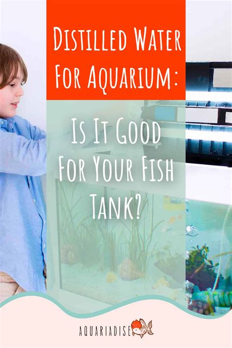 Distilled Water For The Aquarium In Depth Aquarists Guide