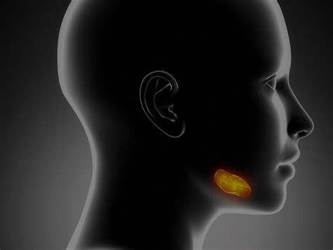 Blocked Salivary Gland Treatment