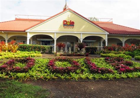 Visiting The Dole Plantation In Hawaii Hours Prices And Tour Photos