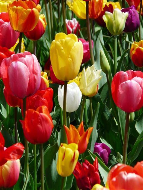 Clustering Beyond K Means Dbscan And Agglomerative Clustering Alper