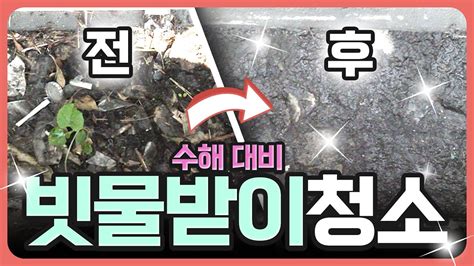 하수구에 쓰레기 버리면 큰일 납니다 제발 버리지 말아주세요 ㅠㅠ Youtube