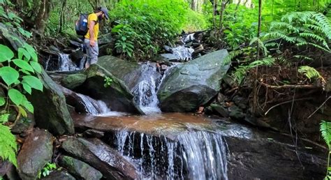 Weekend Bangalore To Netravati Peak Trek Book Fast PTU
