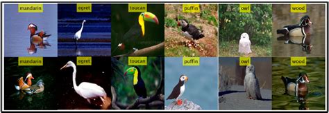 Sustainability Free Full Text A Sustainable Deep Learning Framework