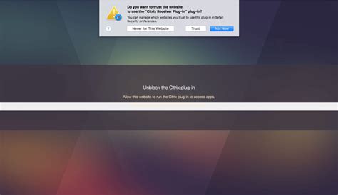 Citrix Viewer Initialization Failed Amovasg