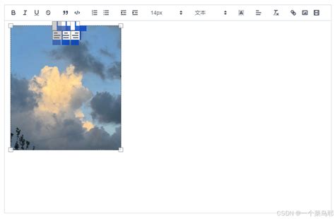 Vue3中quill富文本插件使用quill Blot Formatter实现图片缩放功能 Csdn博客