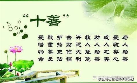 穆斯林为什么不吃猪肉这个背后的原因有多少人知道 知乎