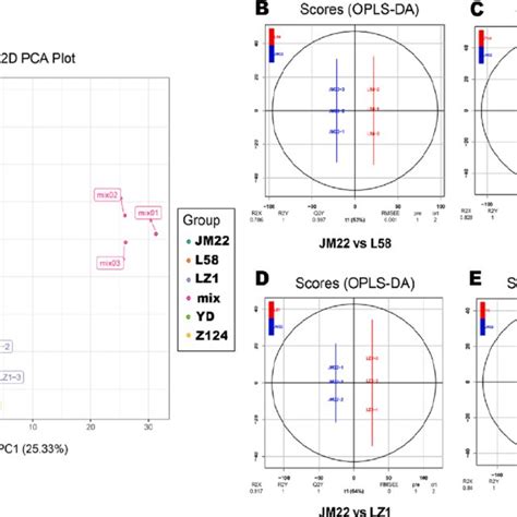 Principal Component Analysis Pca And Orthogonal Signal Correction And