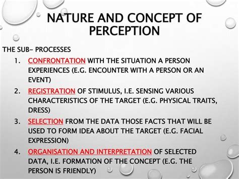 Perception And Attribution Pptx