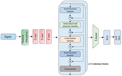 Conformer Based Human Activity Recognition Using Inertial Measurement Units
