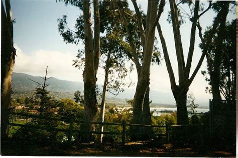 Pic O Took At Sbcc Campus