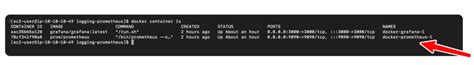 Build Scalable Nlp And Cv Pipelines With Deepsparse Neural Magic