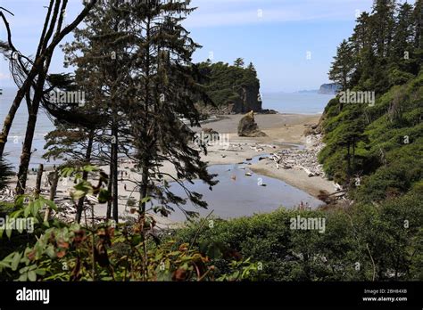 Beach Near Forks Washington At Donald Altman Blog