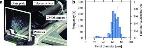 Particle Size Distribution By Image Measurement A Observation Of Download Scientific Diagram