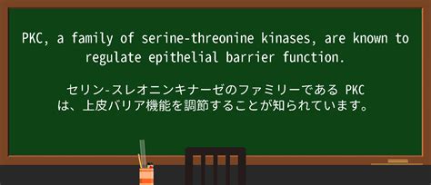 【英単語】barrier Functionを徹底解説！意味、使い方、例文、読み方 おもしろい英文法