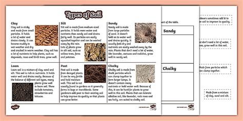Types Of Soil Facts And Activity Sheet Twinkl KS