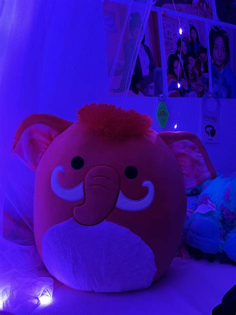 My Newest Friend~ Im So Obsessed With Him 🥰 Rsquishmallow