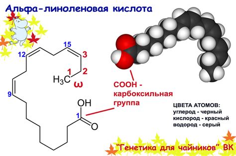 Липиды и клеточная мембрана | Селекция привлекательных состояний
