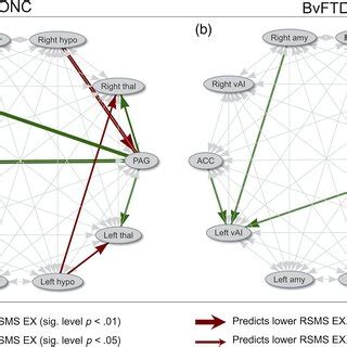 Schematic Illustration Of Effective Node Connections That With A Download Scientific Diagram