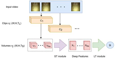 Bioengineering Free Full Text Surgical Gesture Recognition In Laparoscopic Tasks Based On