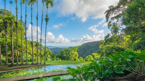 25 Gorgeous Islands For Vacationing That Wont Break The Bank