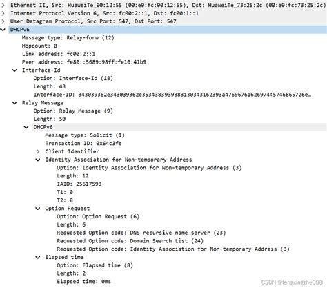 dhcpv6 原理浅谈 报文示例 简易配置 slaac dhcpv6 pd前缀代理 rfc8415 dhcpv6报文 csdn博客