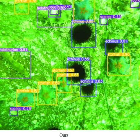 underwater detection results between the faster rcnn and our method