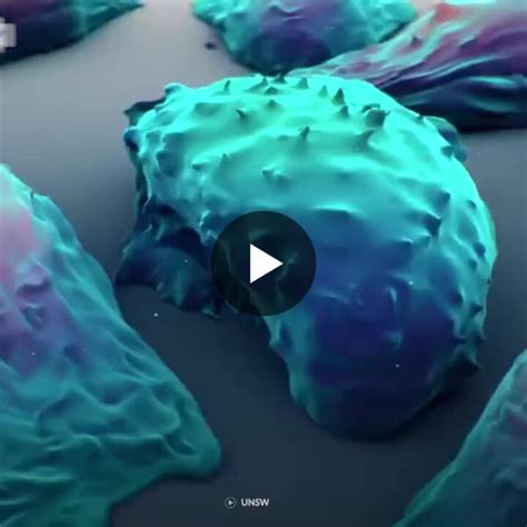 ‏اكتشاف علمي اكتشف العلماء اليابانيين نوع من الهيدروجل الذي يعكس