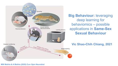 Big Behaviour Leveraging Deep Learning For Behaviomics Possible