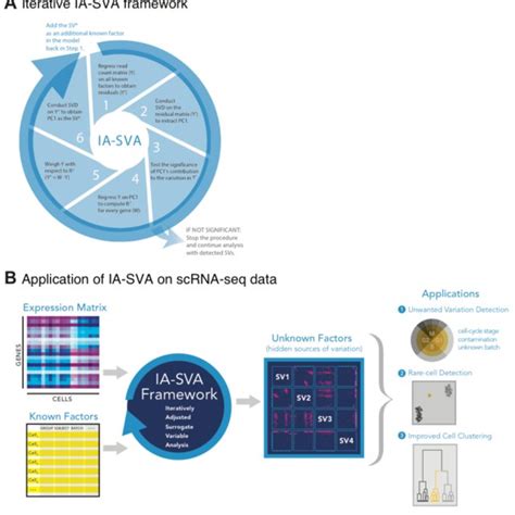 Scheme Of The Agar Disk Diffusion Method Created With Download Scientific