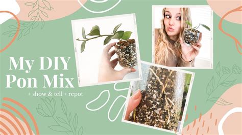 My Diy Pon Mixture Chat About Plants And Repot With Me Youtube