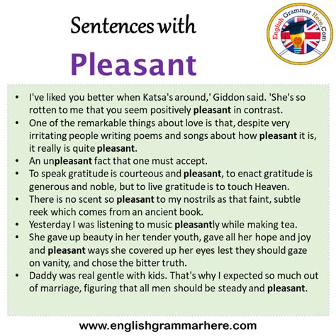 Sentences With Pleasant Pleasant In A Sentence In English Sentences