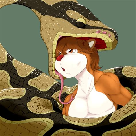 Rule 34 1 1 Ambiguous Gender Anthro Anthro Only Anthro Prey Brown