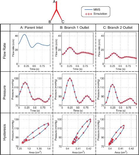 Mms Verification Results For The Finite Element Implementation Of Model Download Scientific