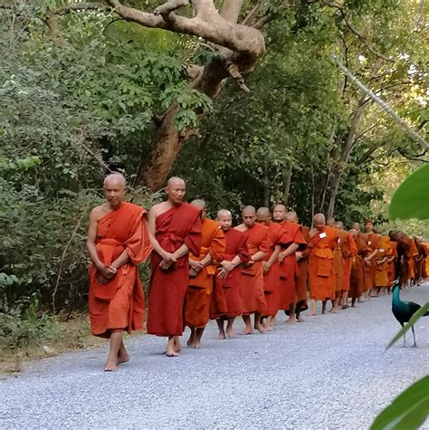 วัดประชานิมิตร สำนักวิปัสนากรรมฐาน ป่าช้า