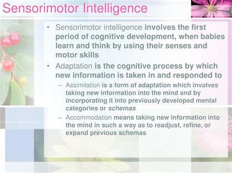 PPT Chapter The First Two Years Cognitive Development PowerPoint Presentation ID